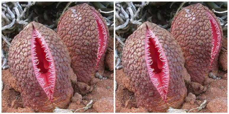 The Shape Of Your Vagina Is The Key To How You Orgasm Yourtango 